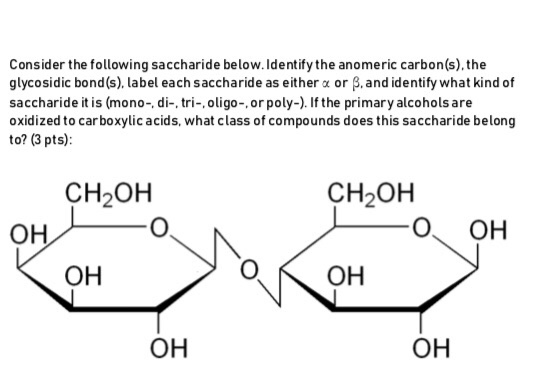Solved Consider the following saccharide below.Identify the | Chegg.com