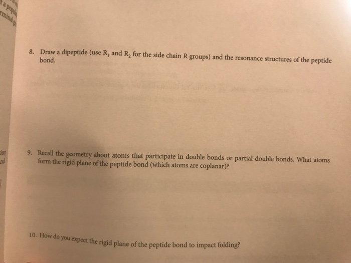 Solved 8. Draw a dipeptide (use R, and R, for the side chain | Chegg.com