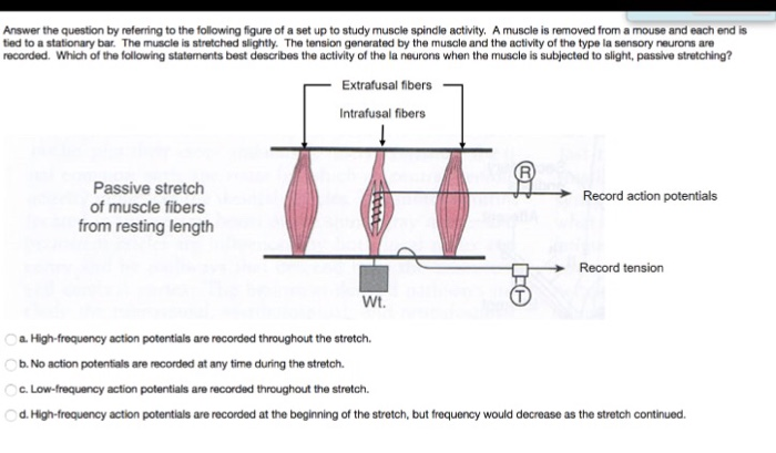 Solved Answer the question by referring to the following | Chegg.com
