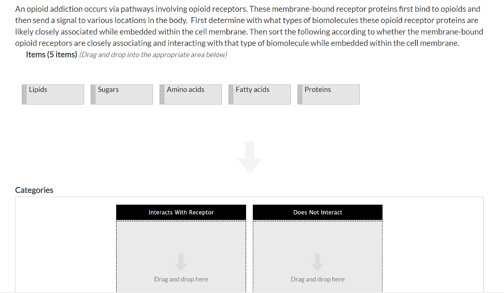 Solved An opioid addiction occurs via pathways involving | Chegg.com
