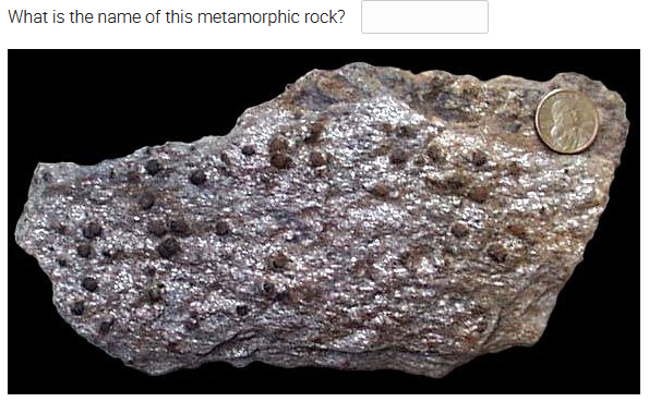 Solved What is the name of this metamorphic rock? | Chegg.com