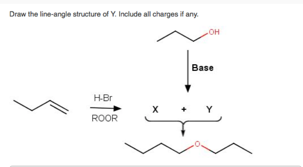Solved Draw the line-angle structure of Y. Include all | Chegg.com