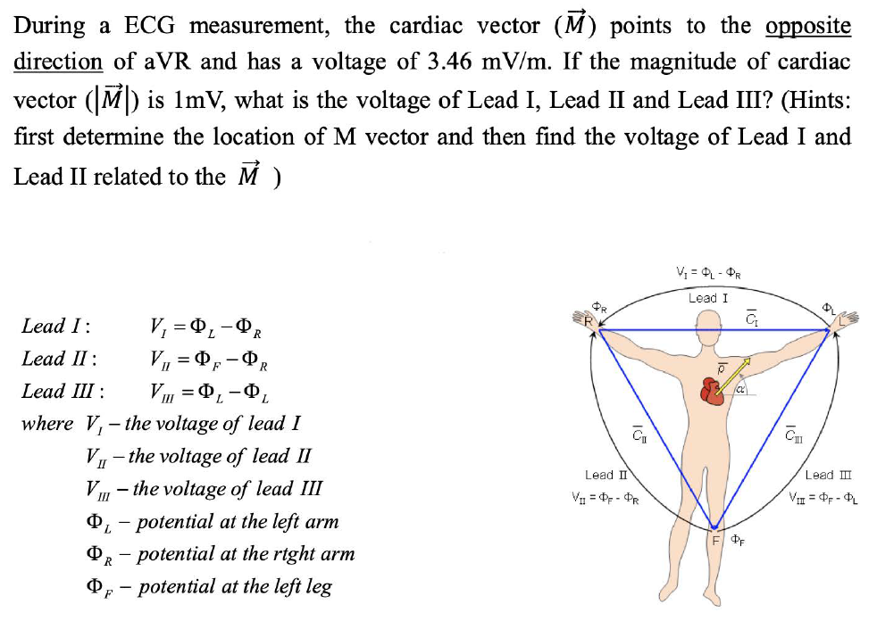Solved During a ECG measurement, the cardiac vector (M) | Chegg.com