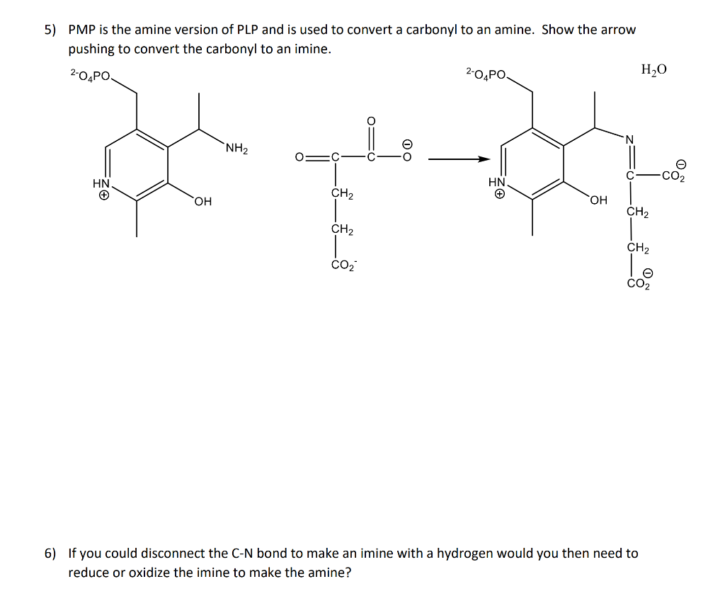 Solved 5) PMP is the amine version of PLP and is used to | Chegg.com