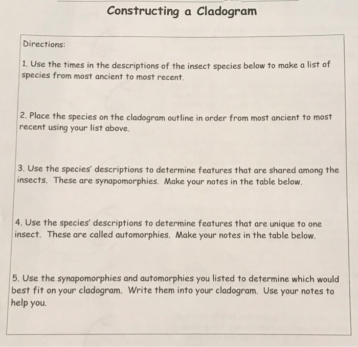 Solved Constructing a Cladogram Directions: 1. Use the times | Chegg.com