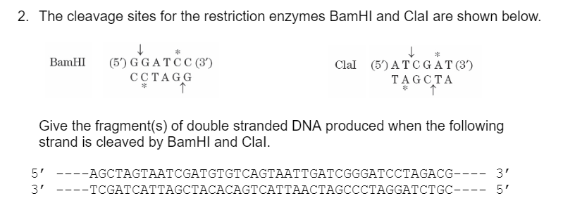 Solved The cleavage sites for the restriction enzymes BamHI | Chegg.com