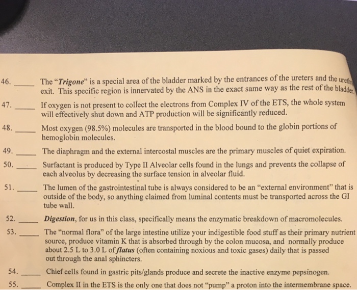 Solved The "Trigone" is a special area of the bladder marked | Chegg.com