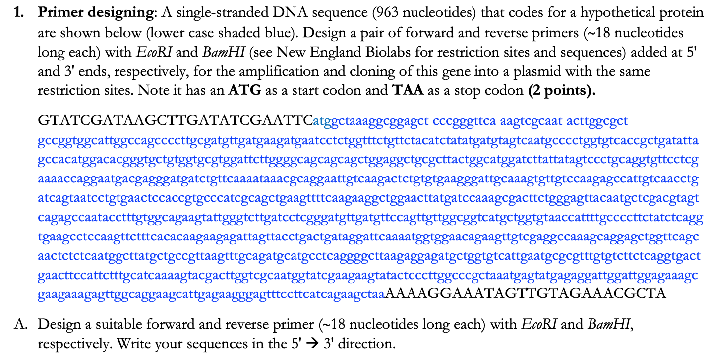 Solved 1. Primer designing: A single-stranded DNA sequence | Chegg.com
