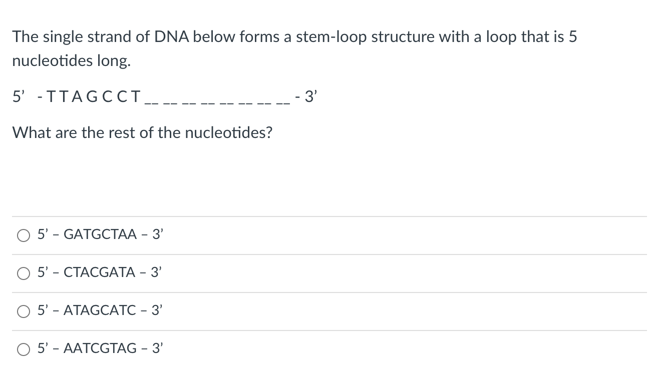 Solved The single strand of DNA below forms a stem-loop | Chegg.com