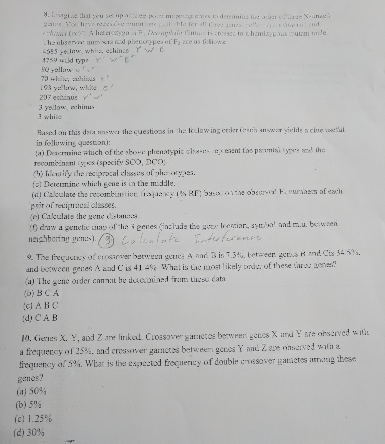 8. Imagine that you set up a three-point mapping | Chegg.com