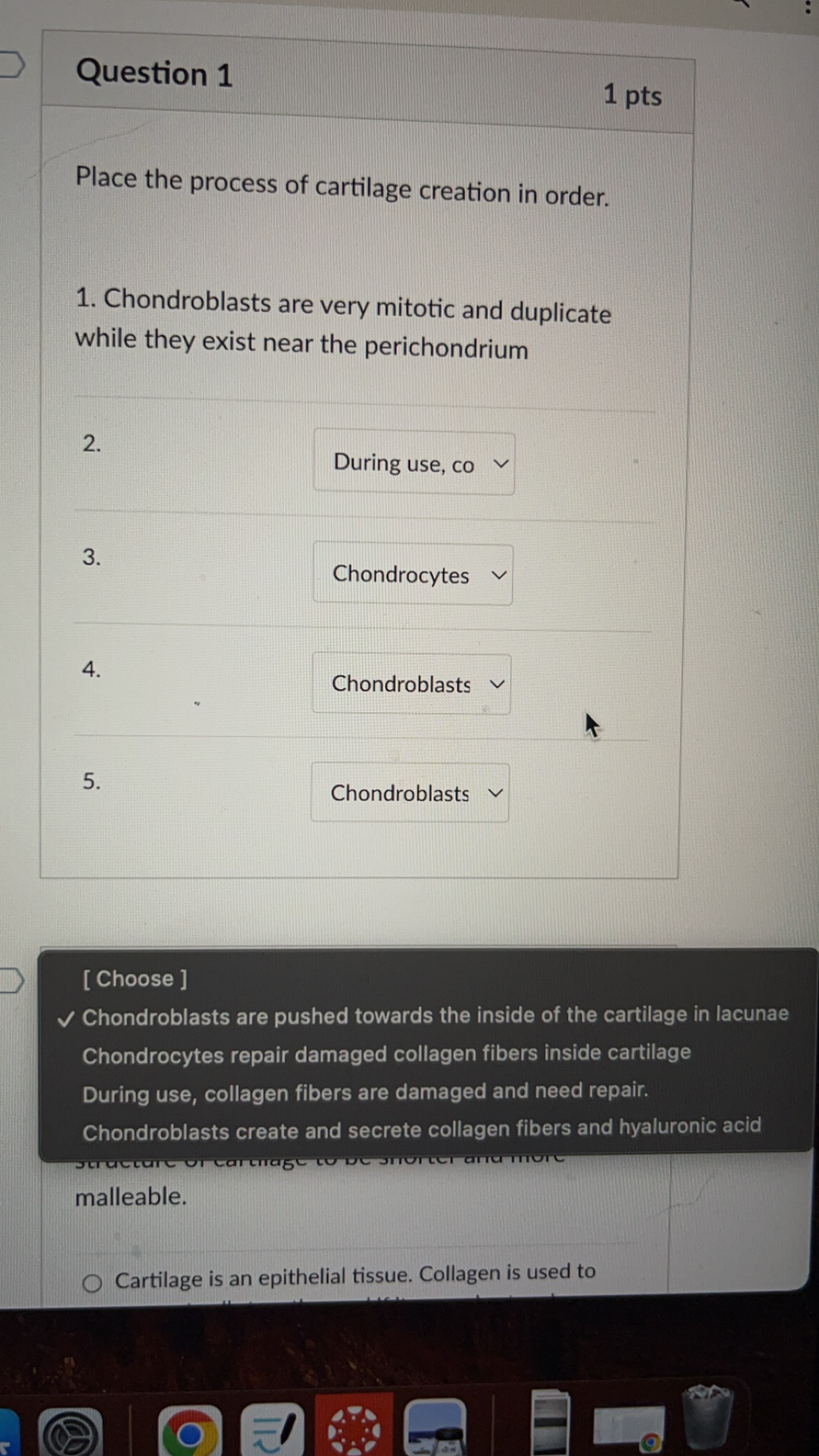 Solved place the provess of cartilage creation in order | Chegg.com