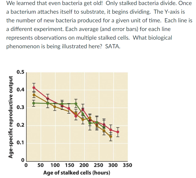 Solved Select all that apply: A. Numbers of bacteria | Chegg.com