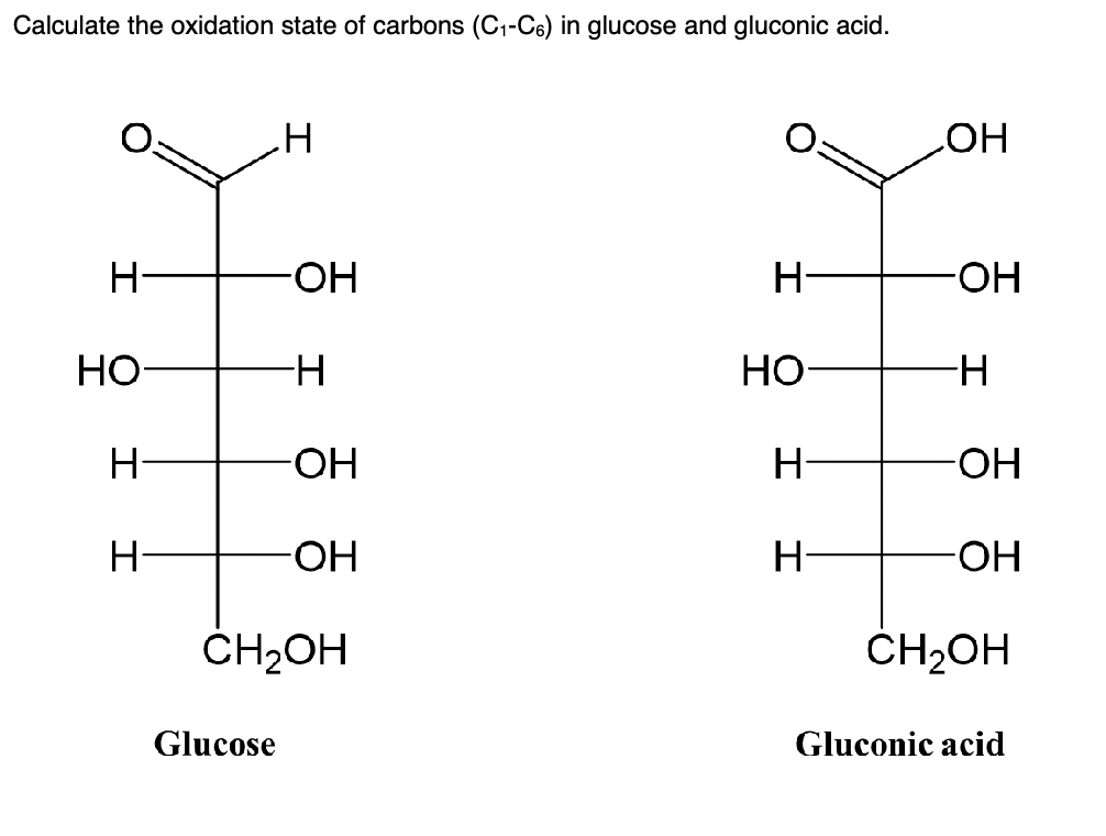 Solved What is the difference between 1) an aldose and a | Chegg.com