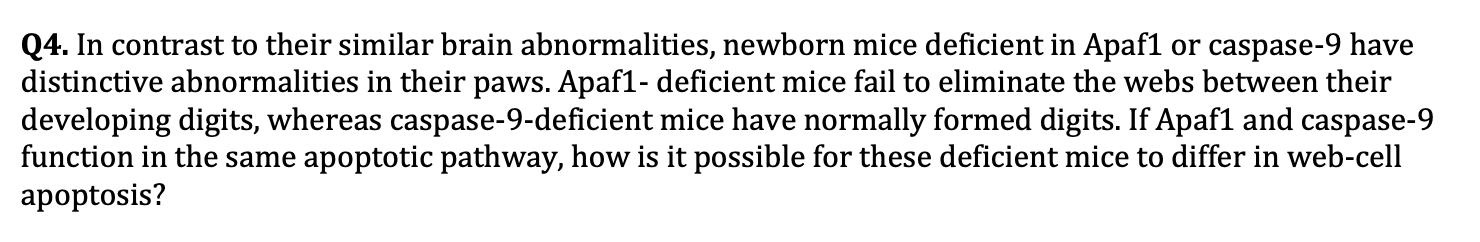 Solved Q4. ﻿In contrast to their similar brain | Chegg.com