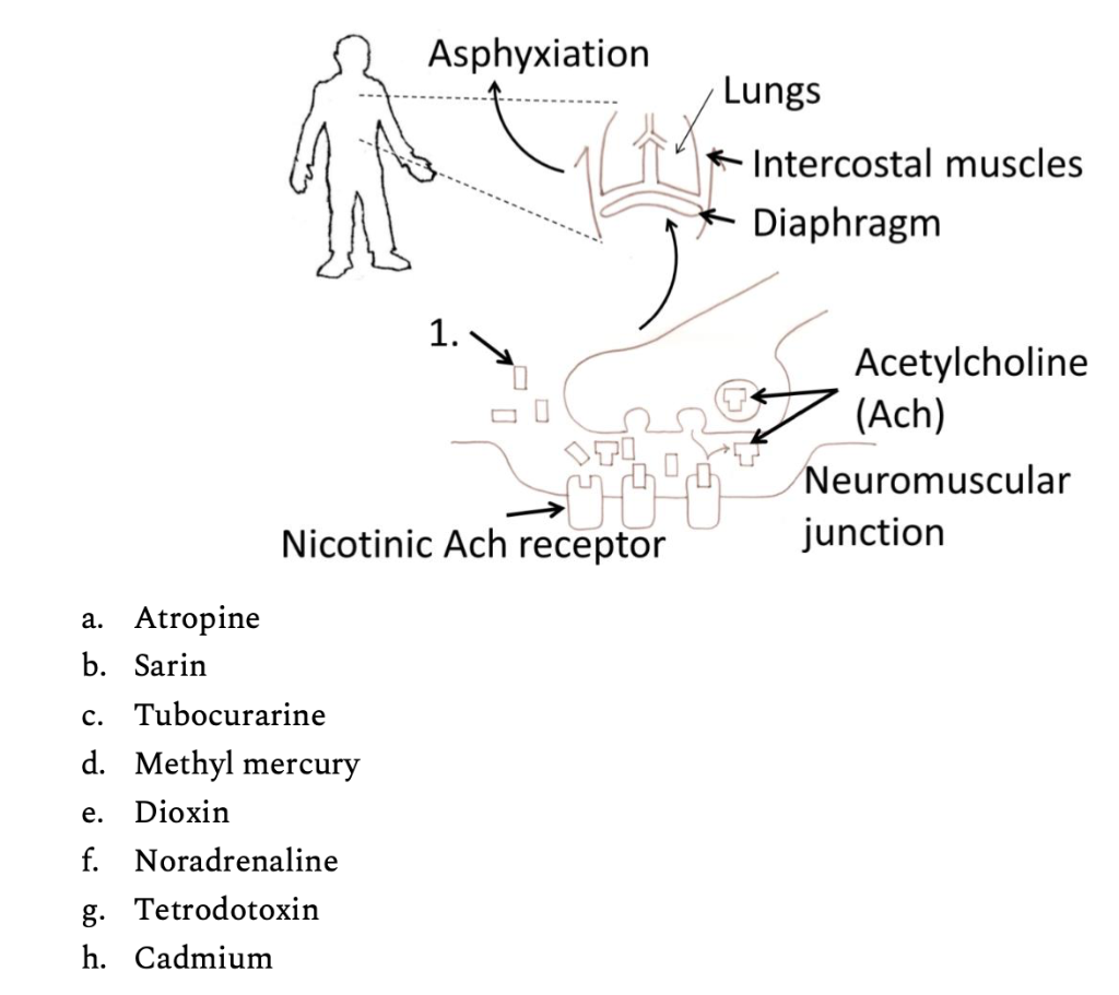 Solved Consider the adverse outcome pathway shown and | Chegg.com