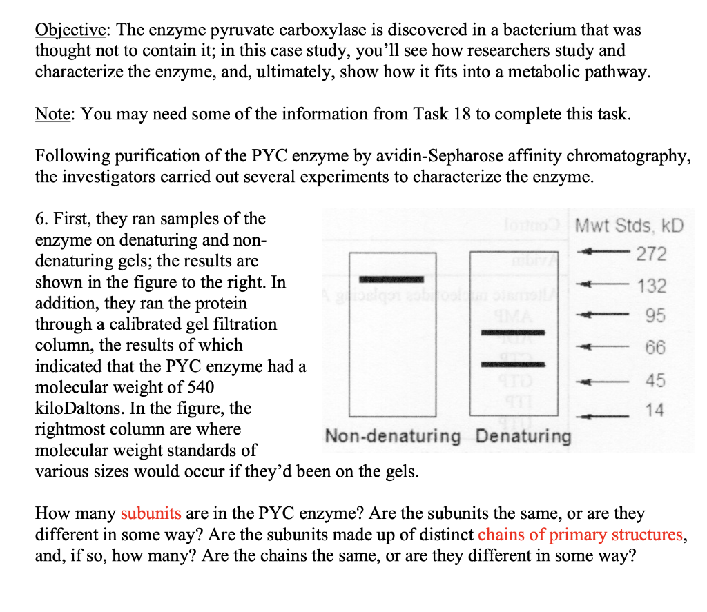 Solved First, they ran samples of the enzyme on denaturing | Chegg.com