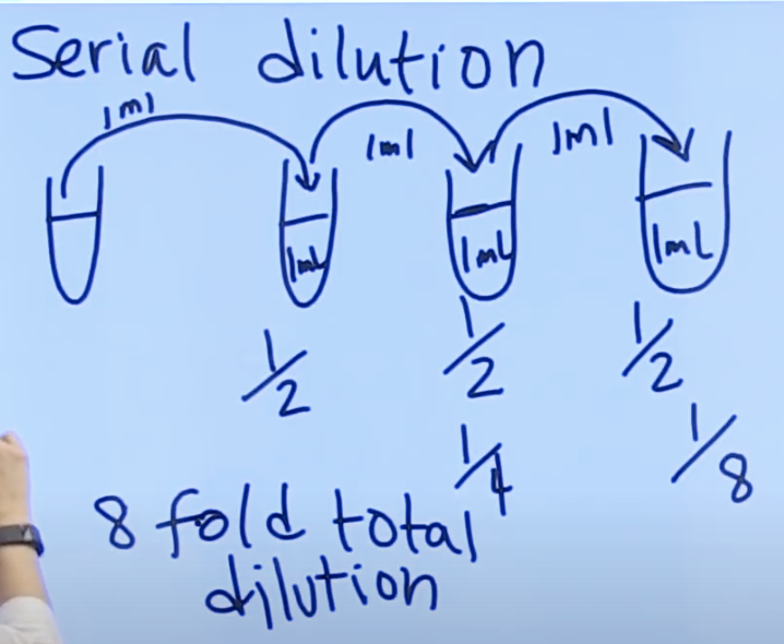 Solved In the serial dilutions example, he also drew four | Chegg.com