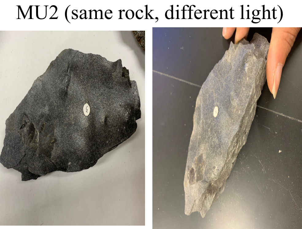 Solved 1.Texture 2.Minerals 3.Protolith 4.Sample | Chegg.com