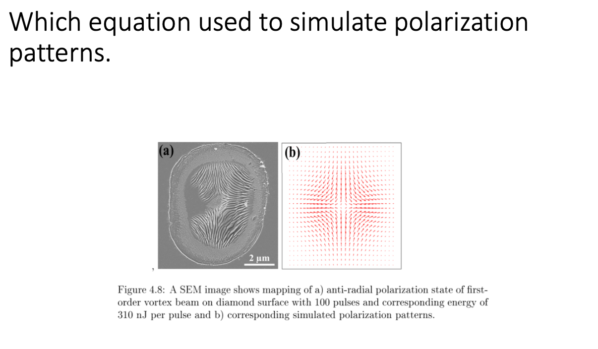 Solved Which equation used to simulate polarization | Chegg.com