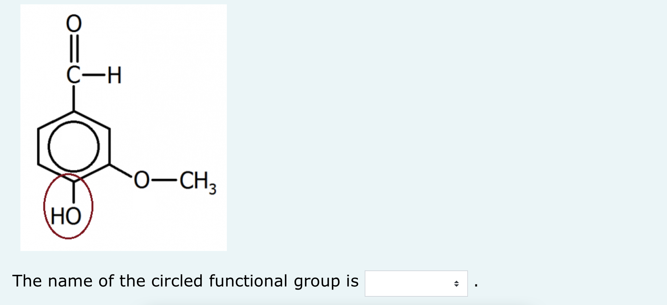 Solved C-H 0-CH3 HO The name of the circled functional group | Chegg.com