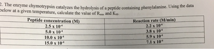 Solved enzyme chymotrypsin catalyzes the hydrolysis of a | Chegg.com