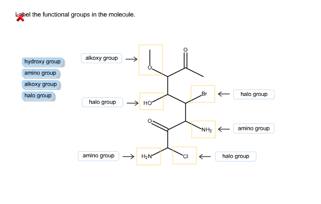 Solved Label the functional groups in the molecule. hydroxy | Chegg.com