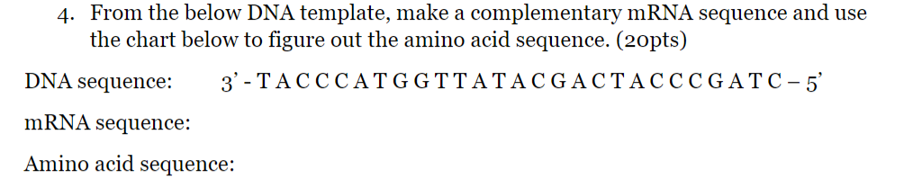 Solved 4. From the below DNA template, make a complementary | Chegg.com