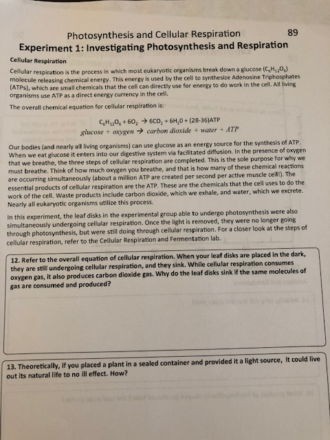 Solved: 85 Photosynthesis And Cellular Respiration Experim... | Chegg.com