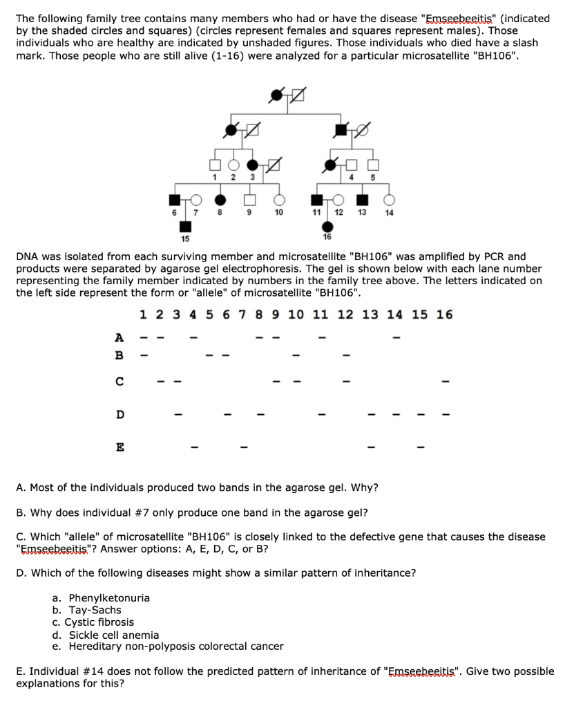Solved The following family tree contains many members who | Chegg.com
