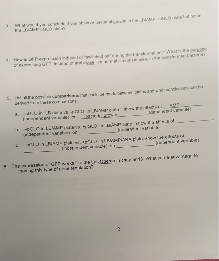 list all the comparison that could be made between | Chegg.com