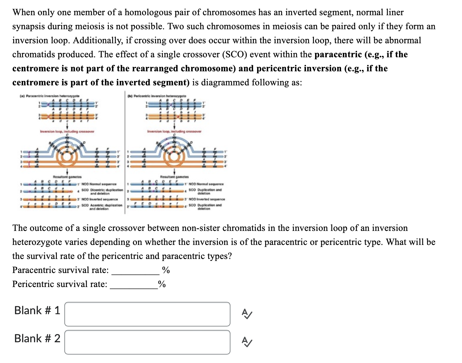 Solved When only one member of a homologous pair of | Chegg.com