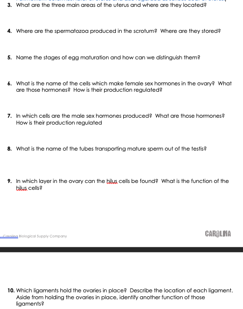 Solved 3 What Are The Three Main Areas Of The Uterus And Chegg solved-3-what-are-the-three-main-areas-of-the-uterus-and-chegg
