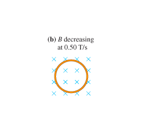 Solved The figure shows a 18-cm-diameter loop in three | Chegg.com