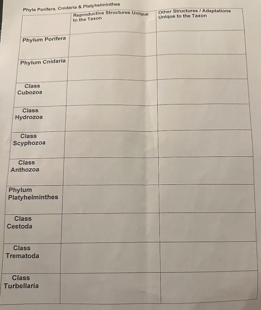 Solved Phyla Porifera, Cnidaria \& Platyhelminthes | Chegg.com