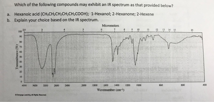 Solved Which of the following compounds may exhibit an IR | Chegg.com