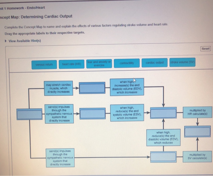 Solved it 1 Homework- Endo/Heart ncept Map: Determining | Chegg.com