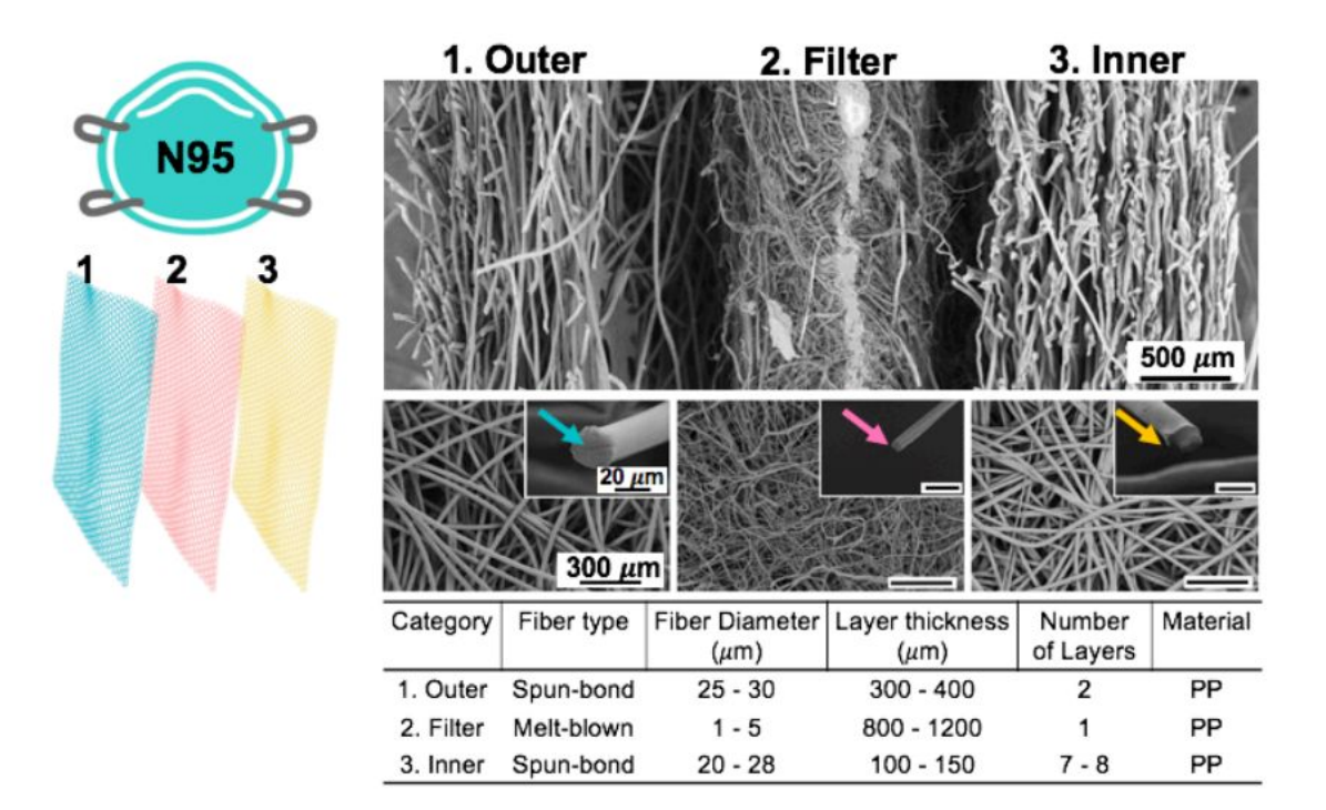 As seen in the figure below, once the viral particle | Chegg.com