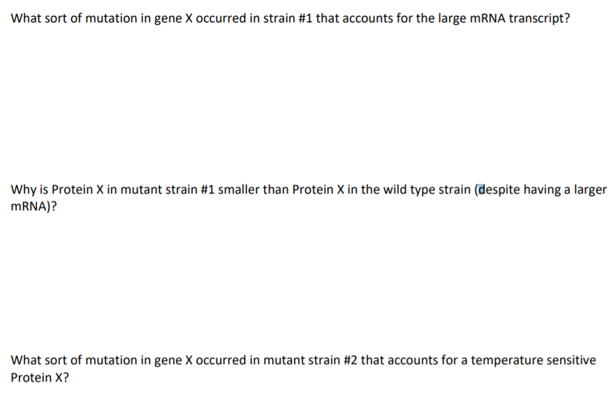 Solved wild type mutant #1 mutant #2 wild type mutant #1 | Chegg.com Solved wild type mutant #1 mutant #2 wild type mutant #1 | Chegg.com