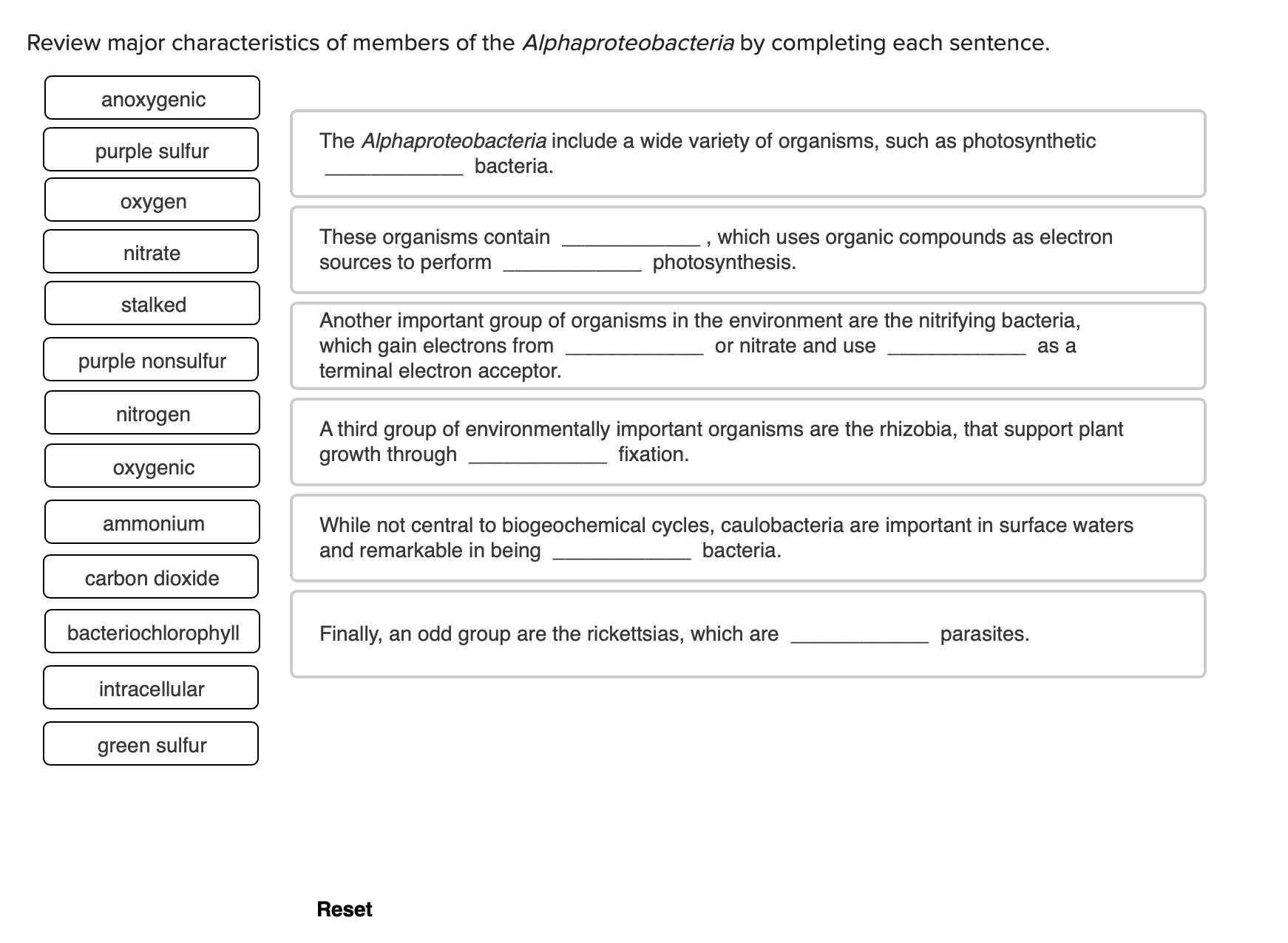 Solved Review major characteristics of members of the | Chegg.com