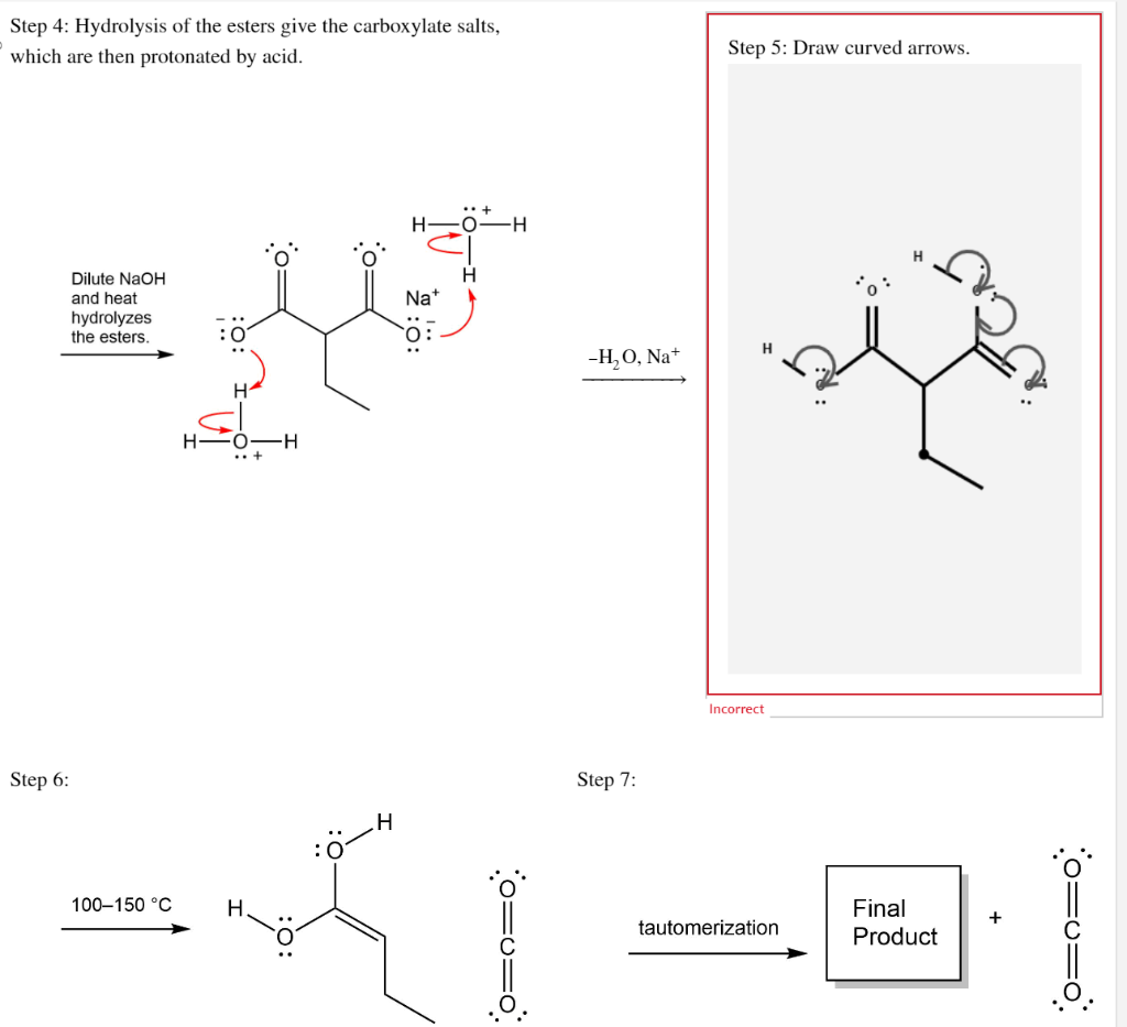 Solved Step 4: Hydrolysis of the esters give the carboxylate | Chegg.com