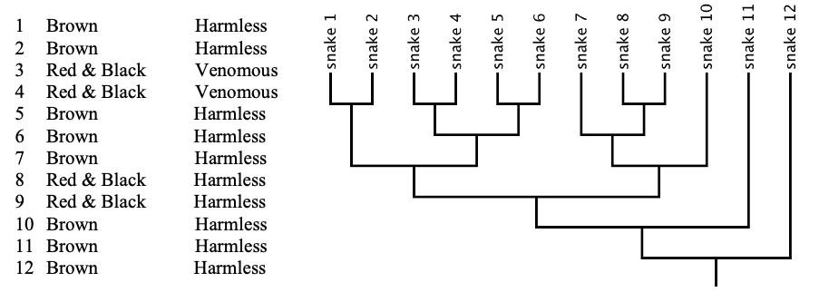 Solved Below are a phylogeny of 12 snake species and a table | Chegg.com