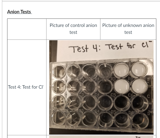Solved Anion Tests Picture of control anion Picture of | Chegg.com