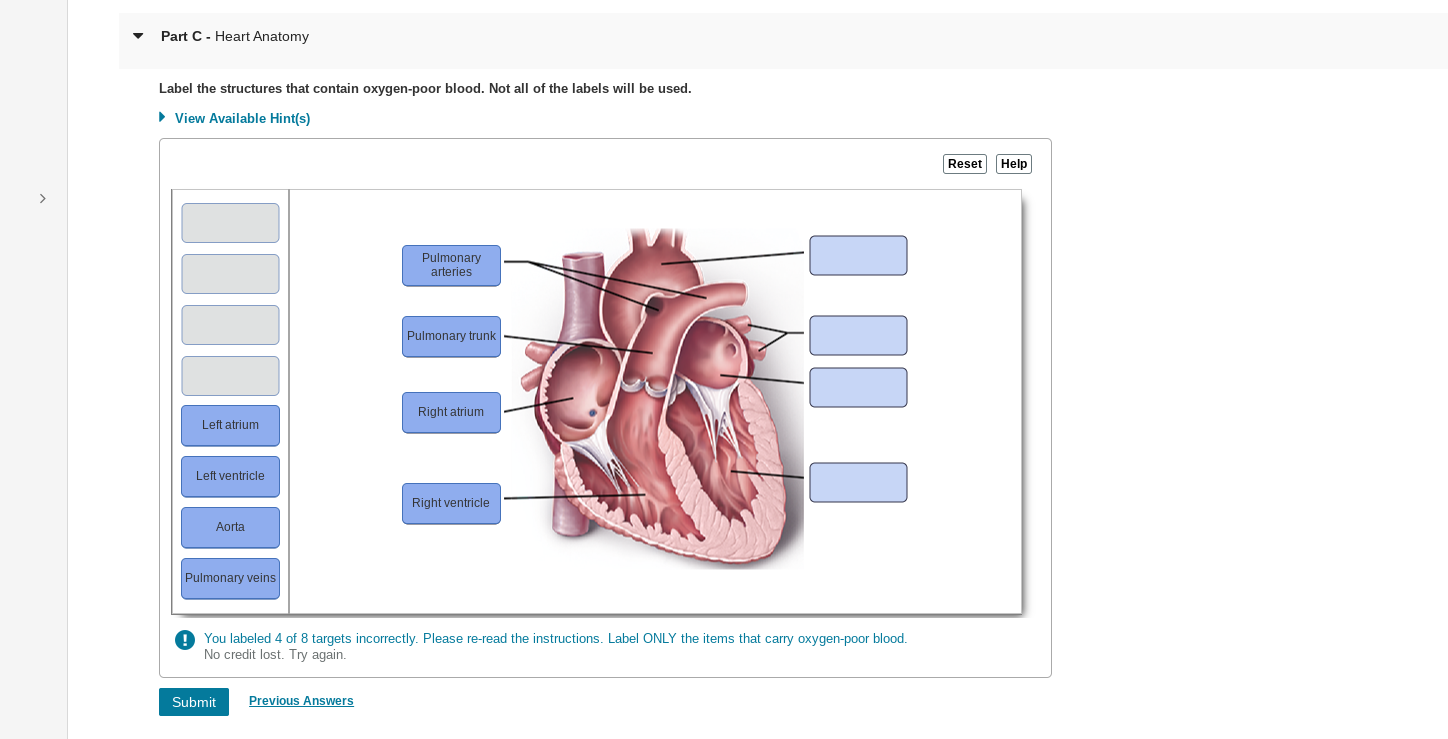Solved Part C Heart Anatomy Label The Structures That