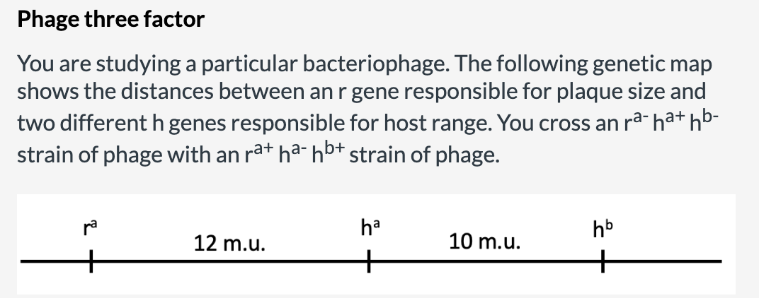 Solved After performing your cross, what percent of the | Chegg.com
