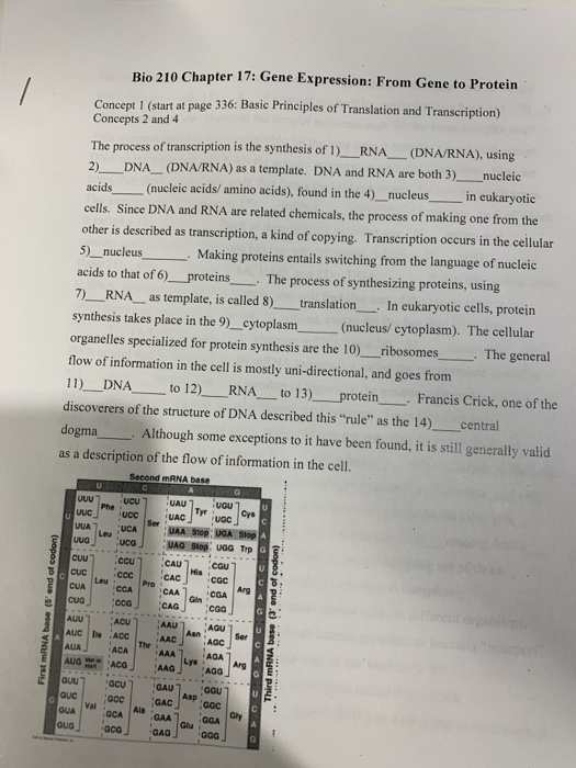 210 Chapter 17: Gene Expression: From Gene to Protein | Chegg.com