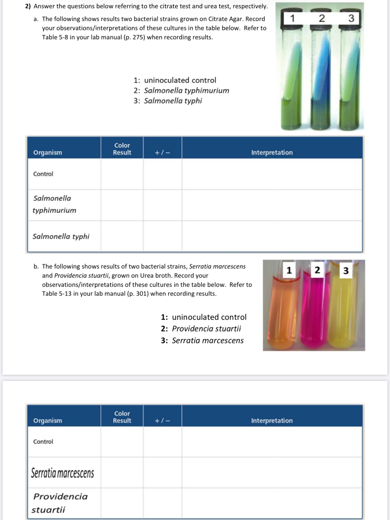 Solved 2) Answer the questions below referring to the | Chegg.com