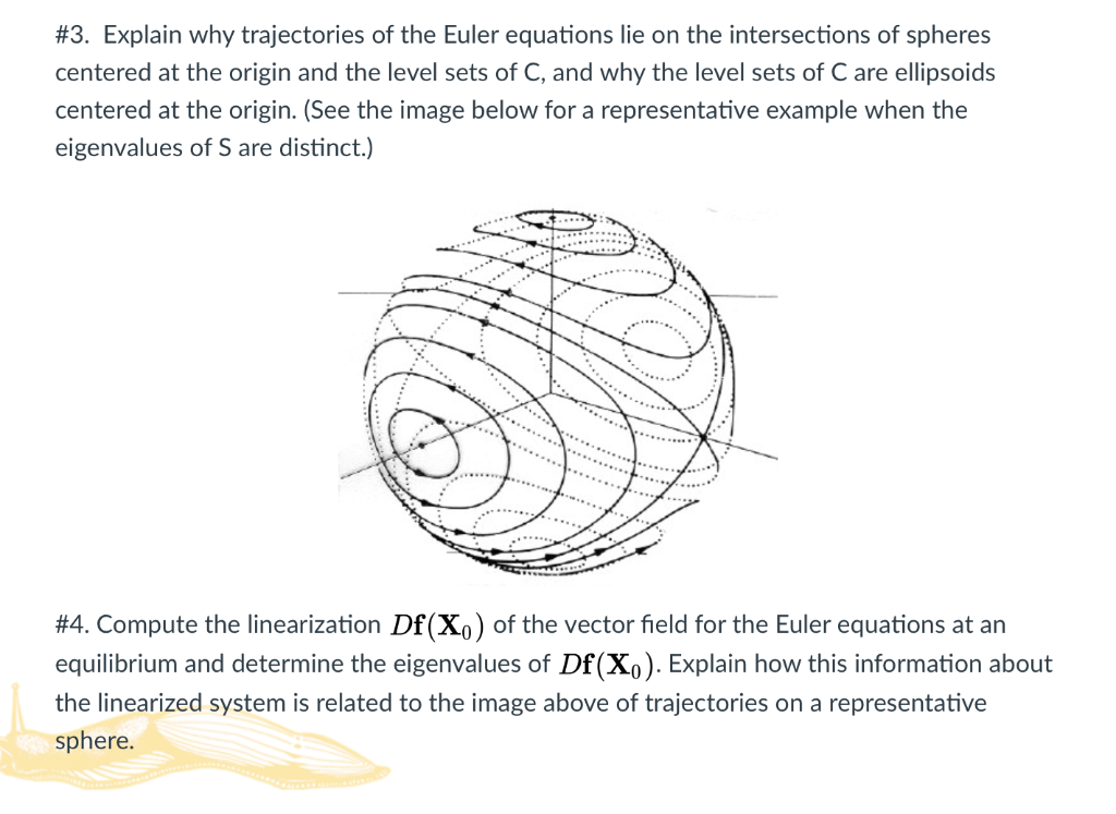 Option 2. Euler's equations for the free rigid body A | Chegg.com