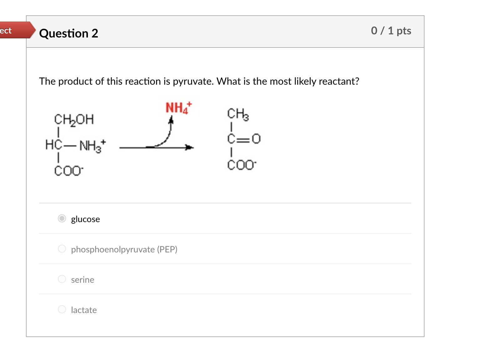 Solved The product of this reaction is pyruvate. What is the | Chegg.com
