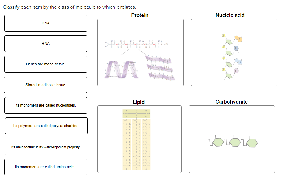 Solved Classify each item by the class of molecule to which | Chegg.com