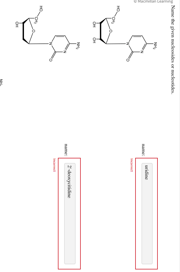 Solved Name the given nucleosides or nucleotides. Incorrect | Chegg.com